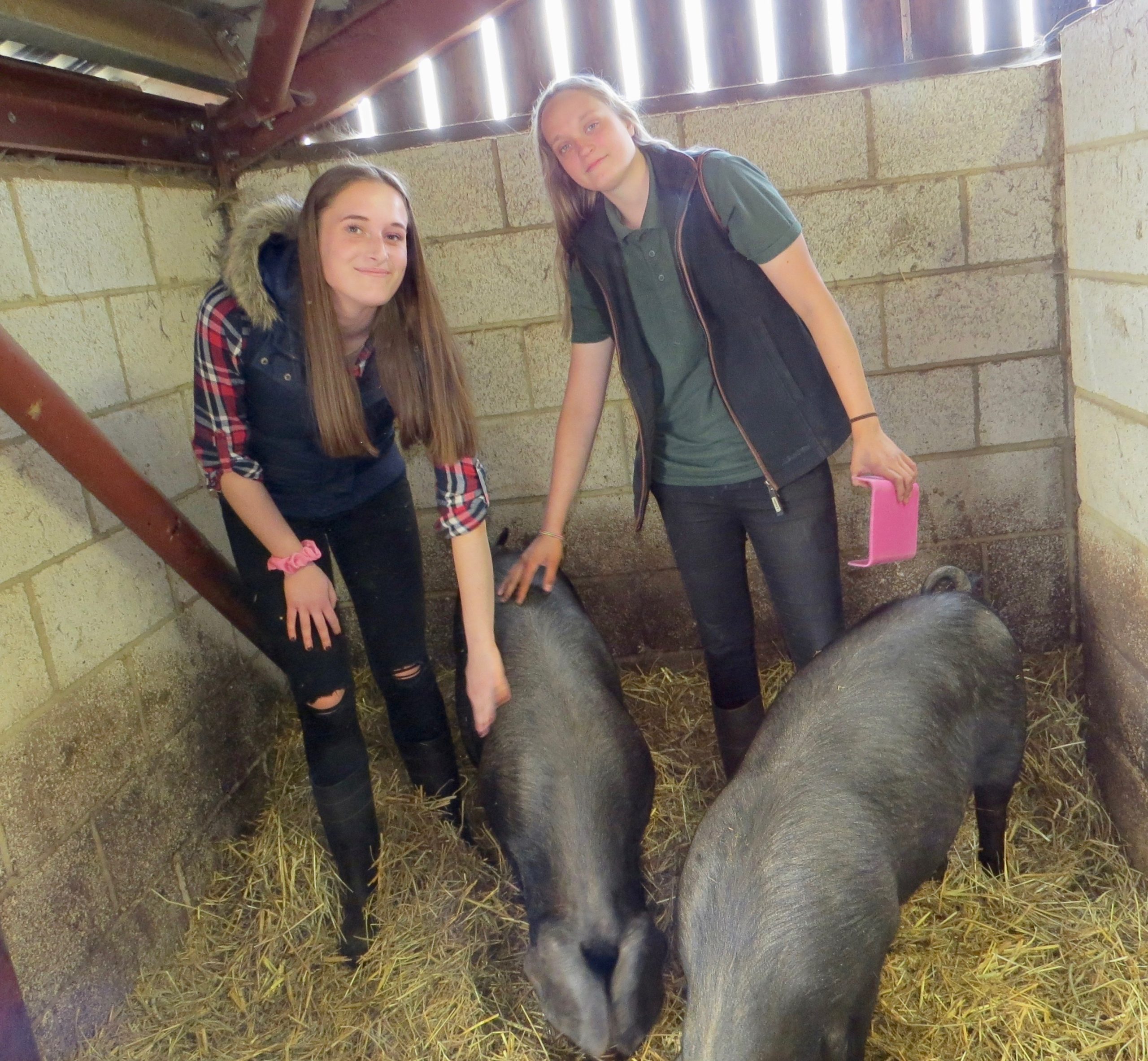 Redborne School Farm - The Connolly Foundation